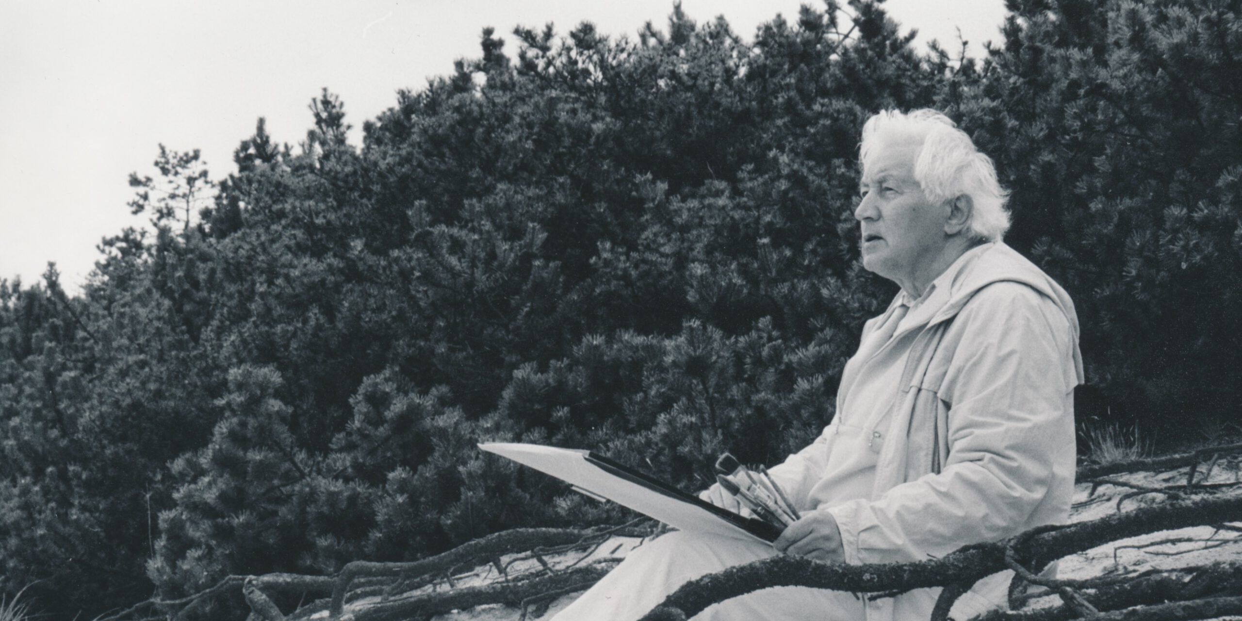 Contact | Siegward Sprotte Foundation